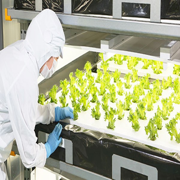 Cleanroom Systems | Taikisha
